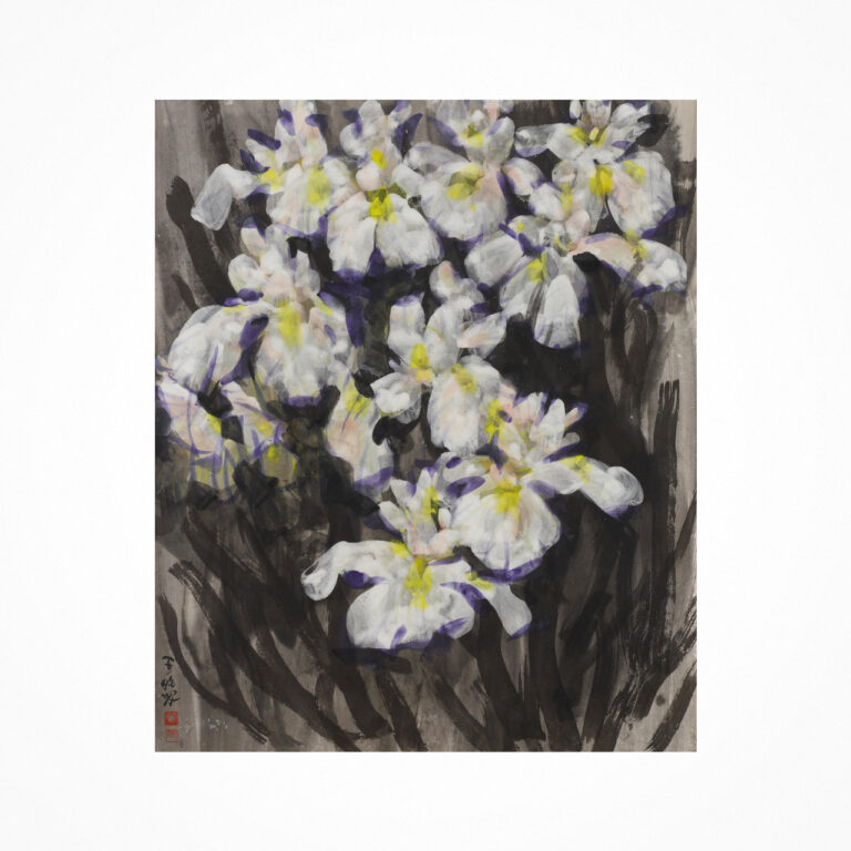 王昭 Wang Zhao Official Site